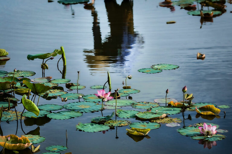 Portfolio | Best Réhahn's Photographs | Fine Art Photography