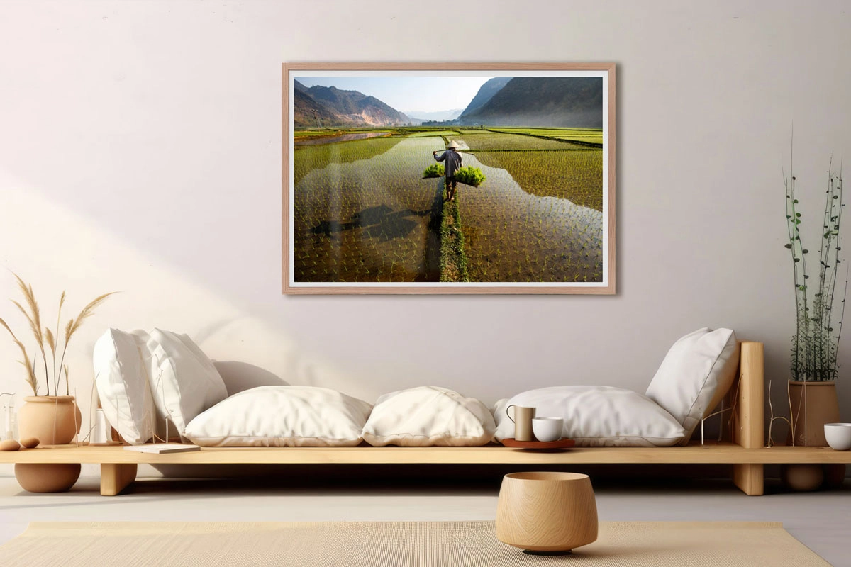 Discover the Magic of Vietnam's Rice Fields | Photography